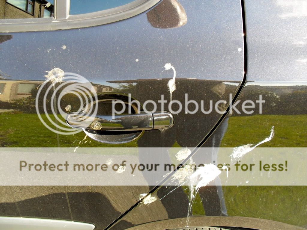 DIRTY BINT NOW CLEAN! - Skoda Fabia Mk II - BRISKODA