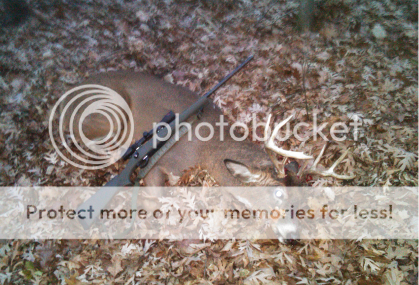 POST HERE ~ Big Buck Contest Stories and Pictures 2011 - Page 3 - The ...