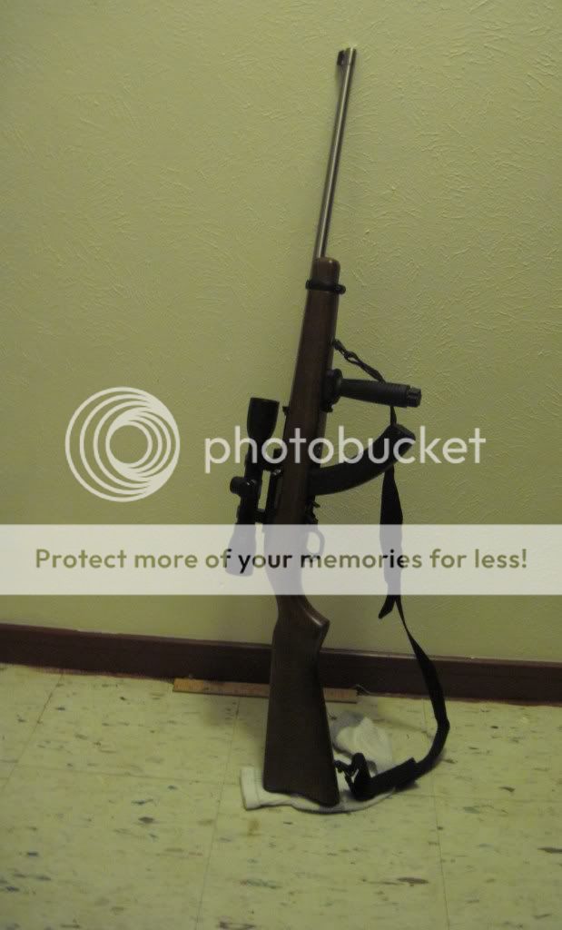 Low key tactical | Rimfire Central Firearm Forum